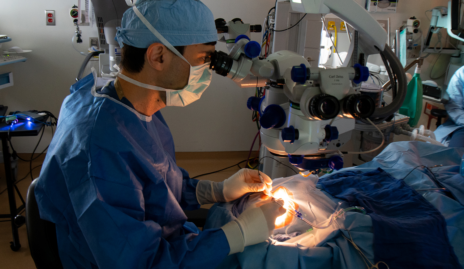 Gene Editing Improves Vision in Some People With Inherited Blindness | Harvard Medical School